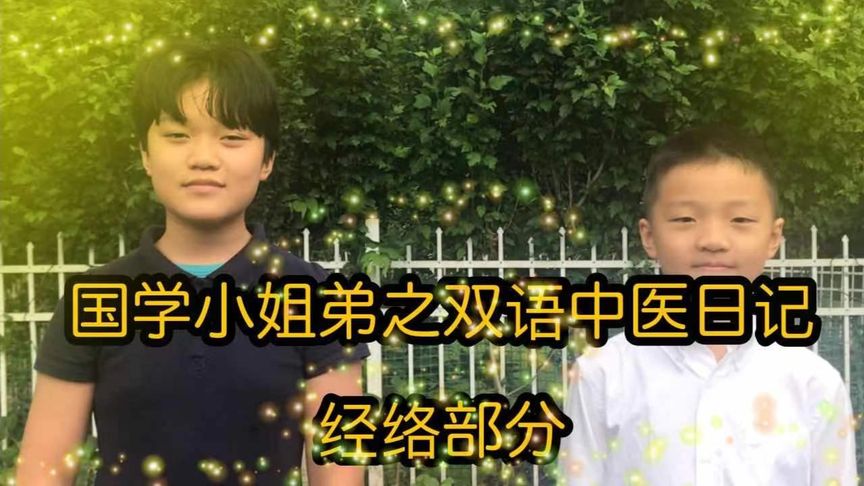 足阳明胃经下关之后最后的一个穴位张头维于额垠左右共九十穴。