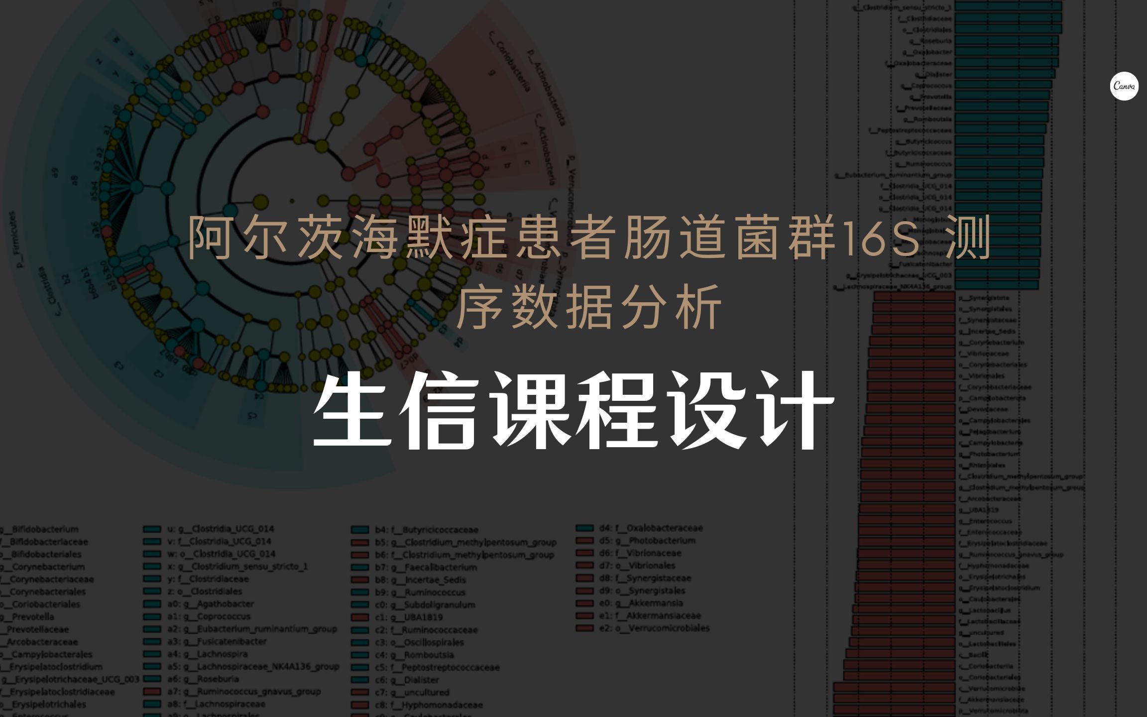 【生信】小项目 | 阿尔茨海默症患者肠道菌群16S 测序数据分析