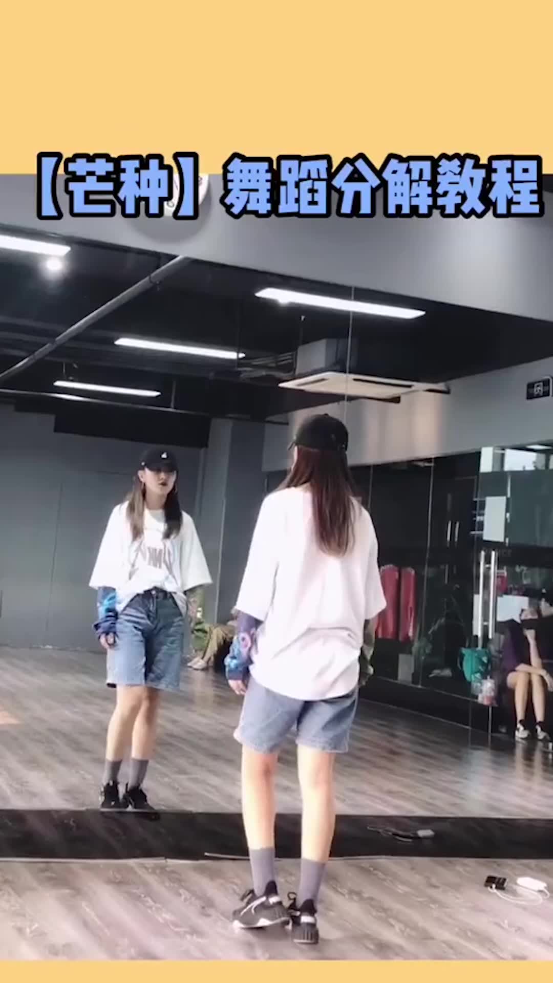 《芒种》舞蹈慢动作分解教程