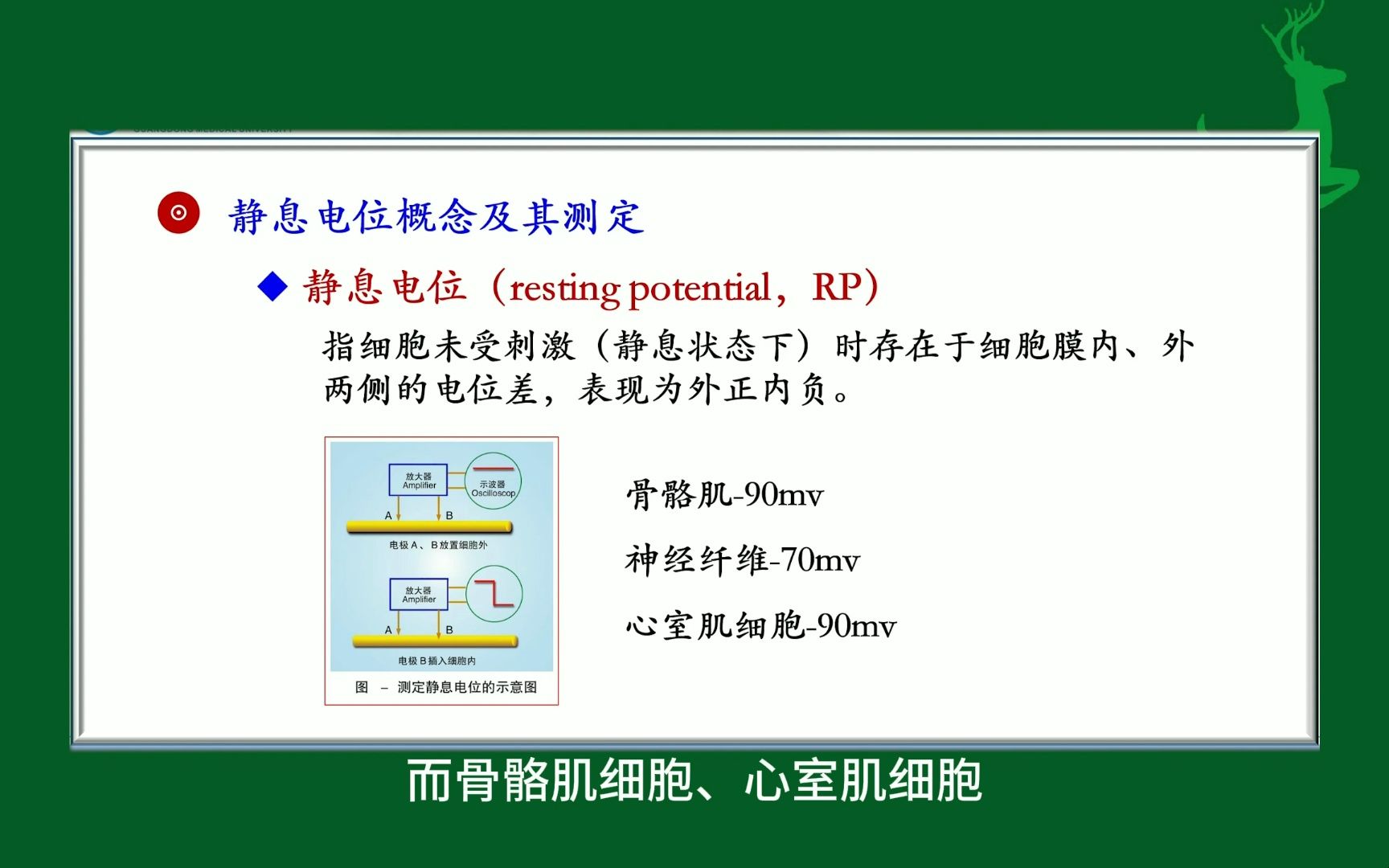 #静息电位#细胞的生物电活动#人体生理学#医学科普#每天学习一点点