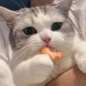 不不不我不是妄为 