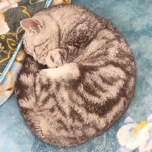 青天之下明暗之间 