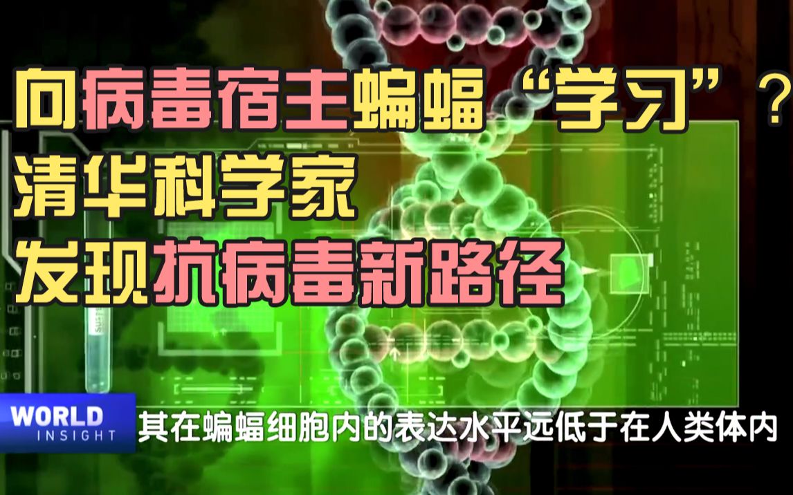 向病毒宿主蝙蝠“学习”?清华科学家发现抗病毒新路径
