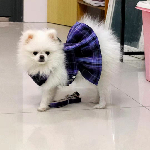 啦啦小花啊 