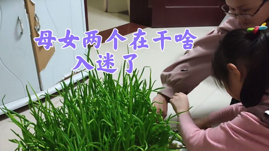 智慧宝妈带宝贝们感受从播种到收获的全过程,宝贝们感受如何?