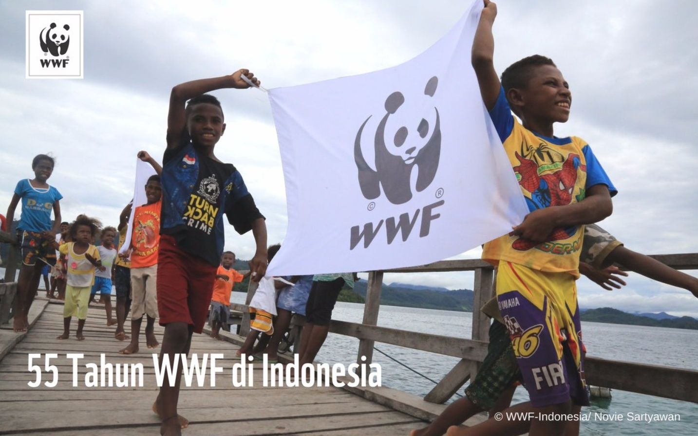 印尼:后苏哈时代的权力解体为何无法阻止环境继续遭到破坏?