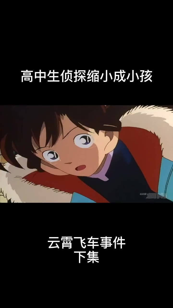 名侦探柯南 工藤新一卷入神秘组织.