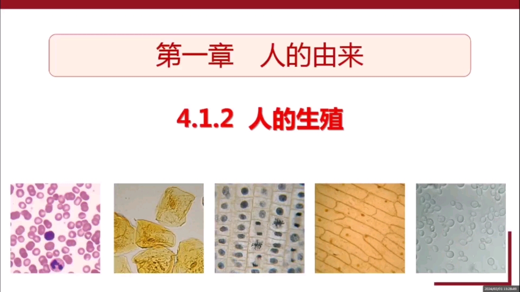 人教版初中生物七下 4.1.2 人的生殖 微课及课件