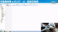 如何使用wii海豚模拟器