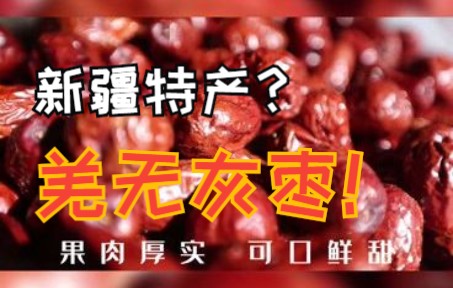 新疆特产难道没有大枣的一席之地?