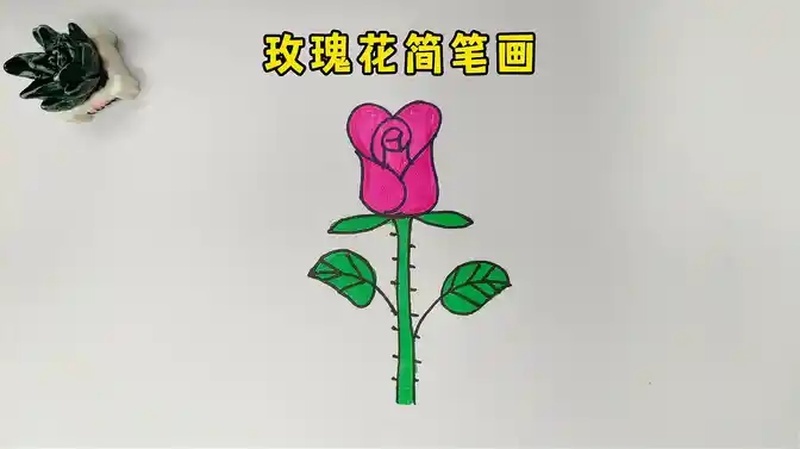 玫瑰花怎么画玫瑰花简笔画的画法,简单易学