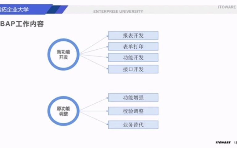 SAP ABAP 开发的工作内容介绍(2)