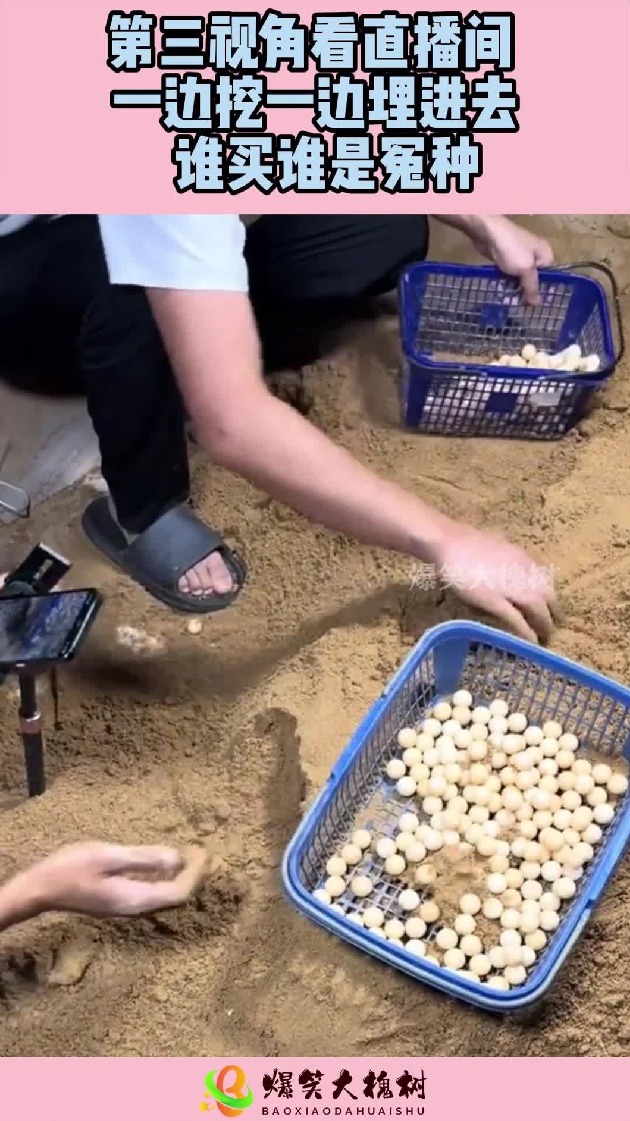 第三视角看直播间, 一边挖一边埋进去,谁买谁是冤种!