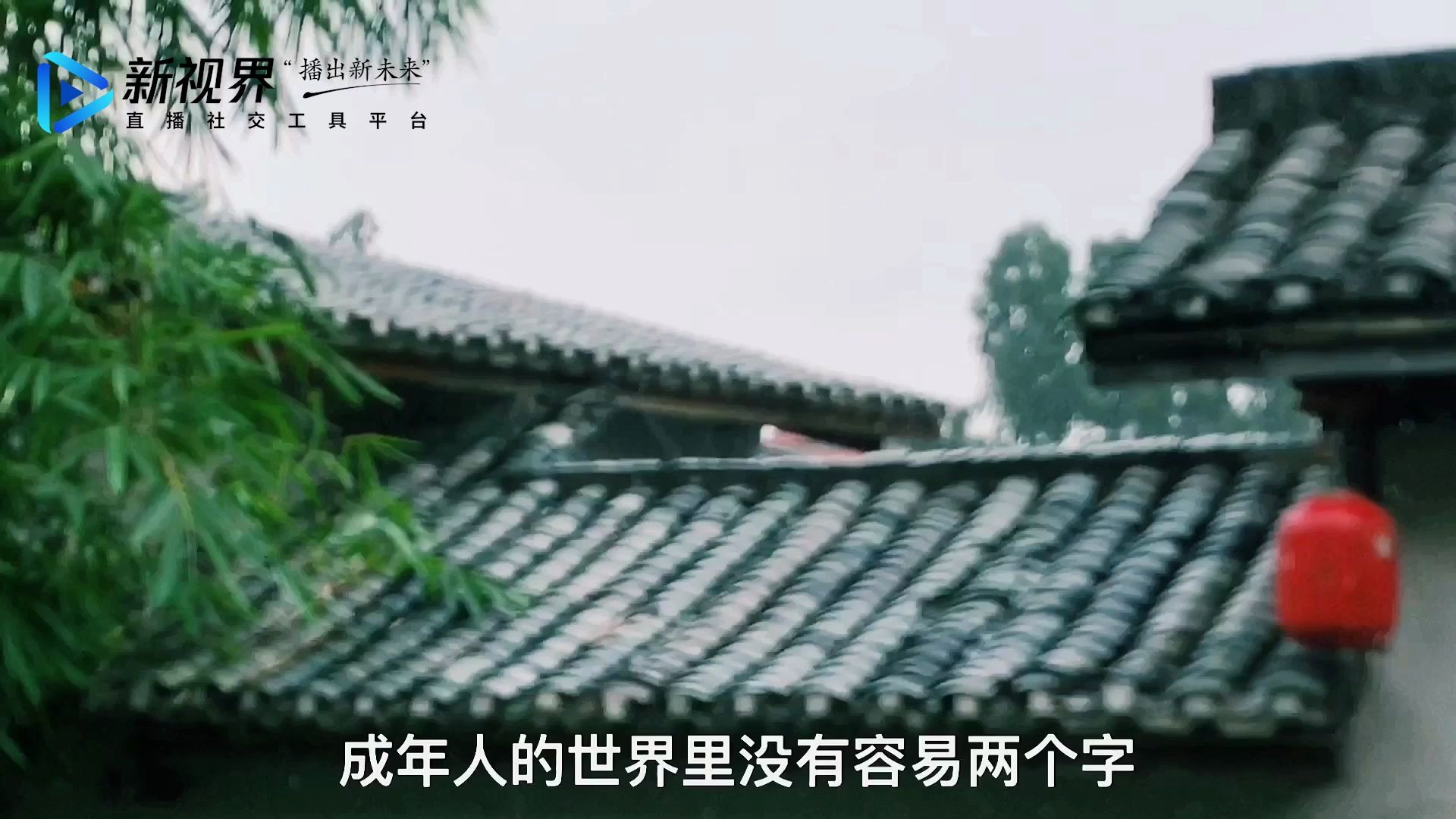 新视界联盟平台手机短视频教学·阿玛尼