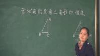 华师大版九年级数学上册第24章 解直角三角形24.2 直角三角形的性质...