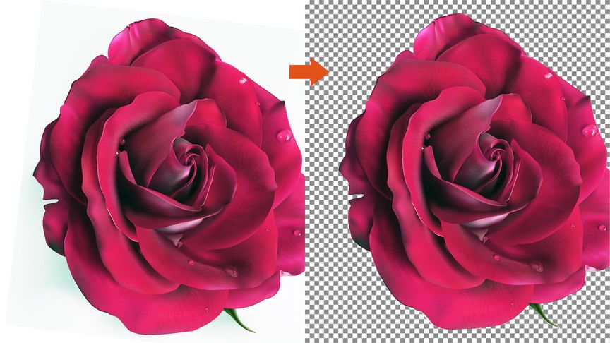 PSCC2021版新功能之二:不会用钢笔?自动钢笔帮你自动抠图!