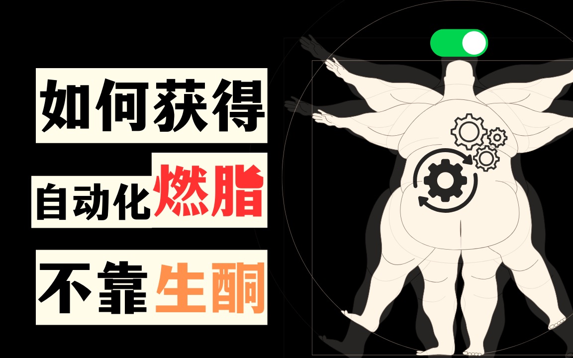 开启身体自带的【自动化优先燃脂】模式|有点难|却是人生里程碑