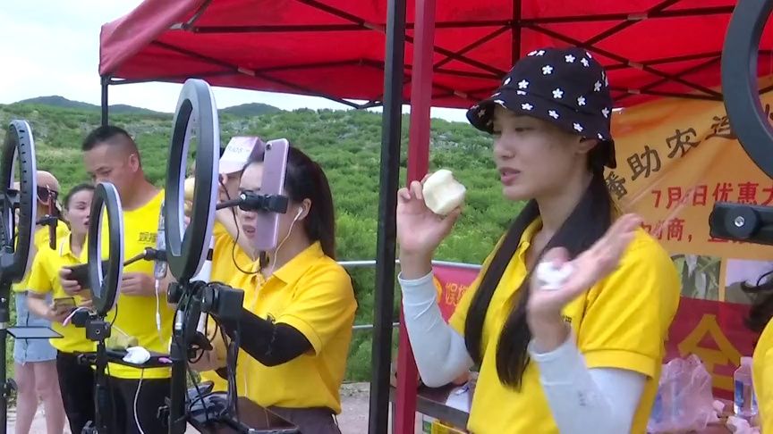 “感谢老铁下单!”连州农产品直播一天销售一千斤