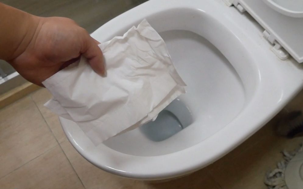 上了这么多年厕所才明白,往马桶里放几张纸巾,太重要了,学学