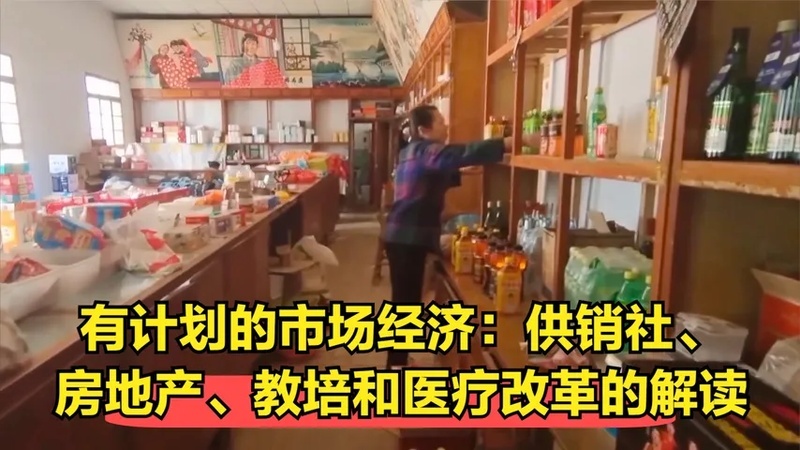 有计划的市场经济:供销社、房地产、教培和医疗改革的解读