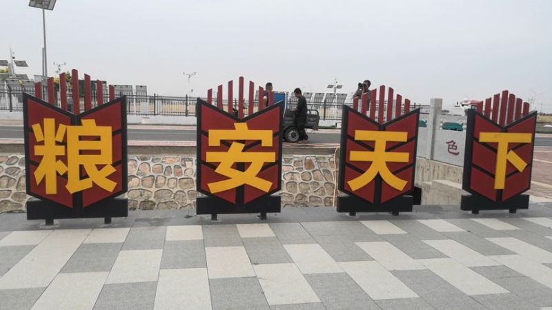 粮安天下--参观安阳县国家高标准农田建设标准化示范区