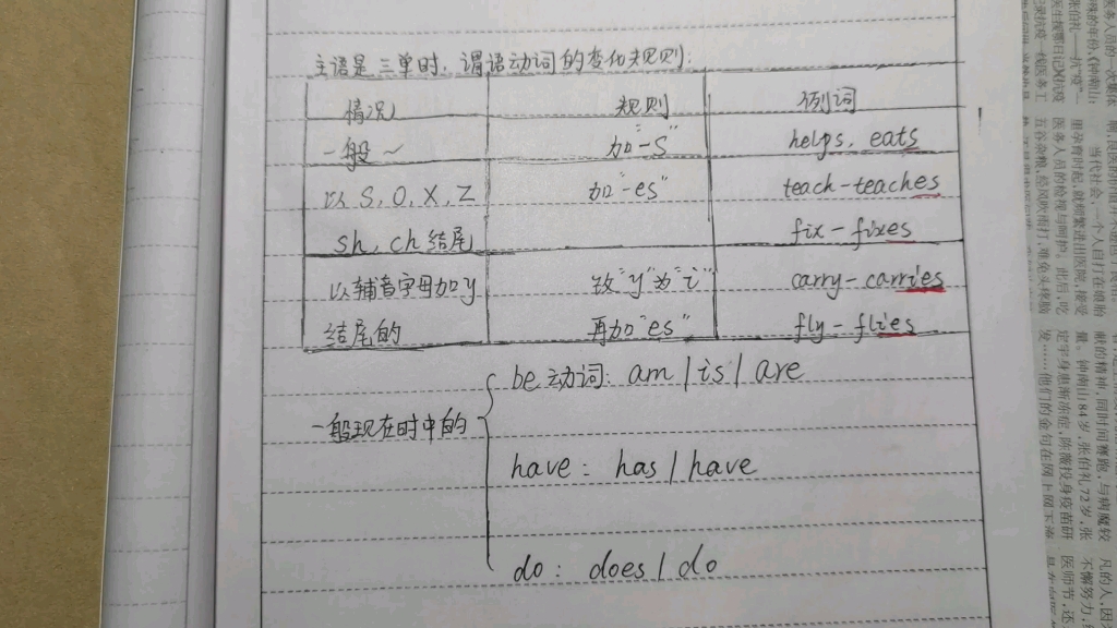 语法—一般现在时态中【动词变化规则】 记住了!