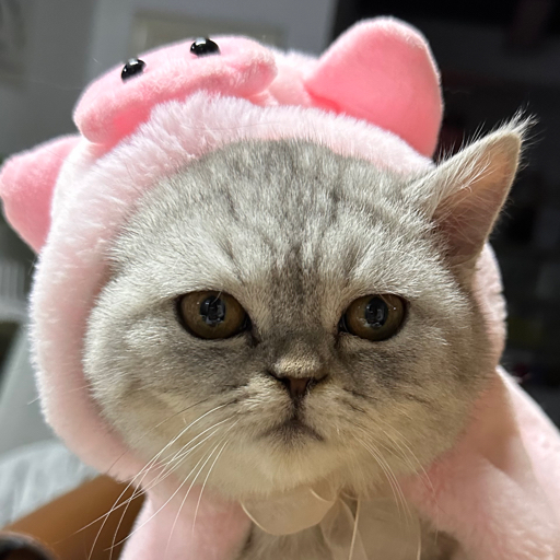 Summer喵小姐-阿夏 