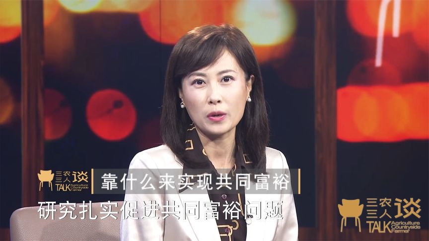 [三农三人谈]靠什么来实现共同富裕20210913