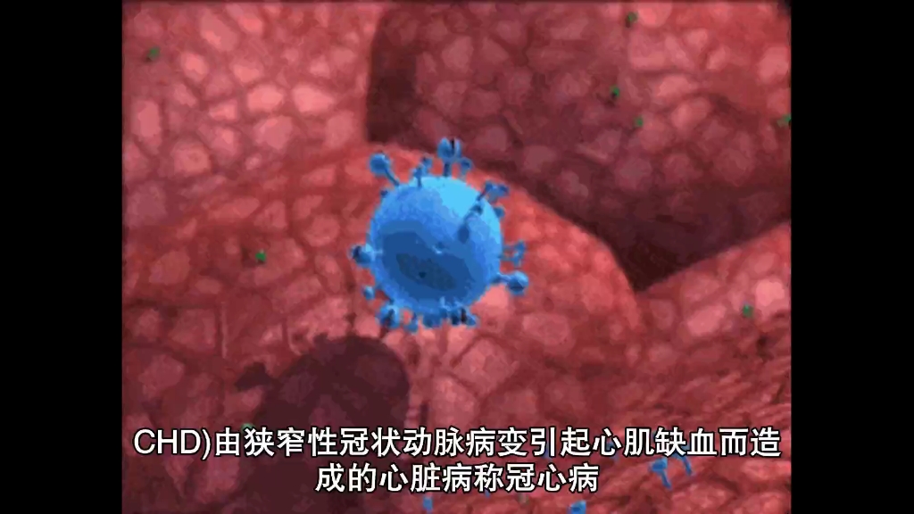 病理学名词解释 第一版