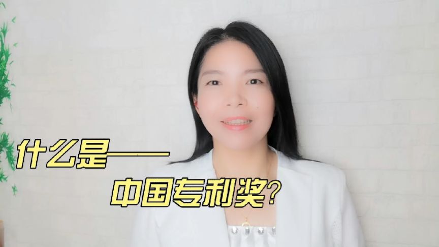 什么是中国专利奖?