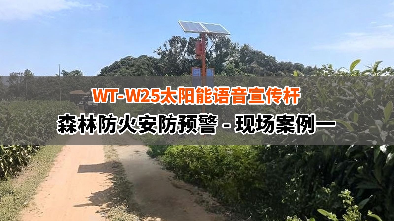 声卫示|WT-W25森林防火语音宣传杆应用现场(一)