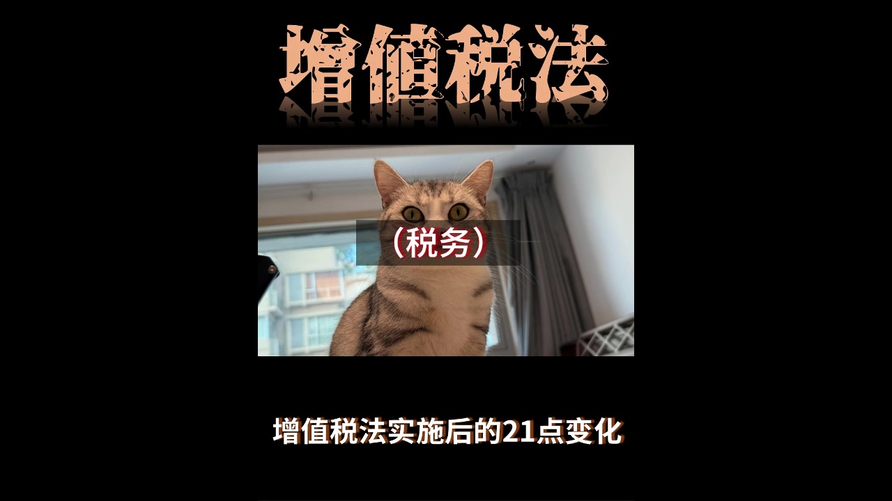 增值税法实施后的21点变化