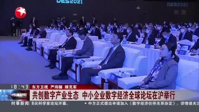 共创数字产业生态 中小企业数字经济全球论坛在沪举行