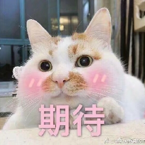 木易弈宁 