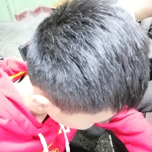 佩奇小哥哥A 