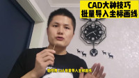 cad大神技巧,cad批量导入上万个坐标点自动画线,cad小白照样学