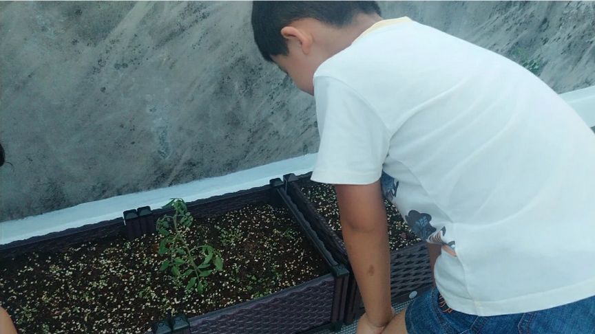 带孩子认识蔬菜的生长过程
