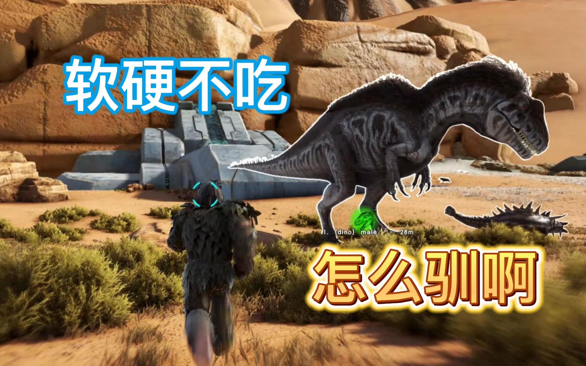 软硬不吃的模组龙该怎么驯服啊?