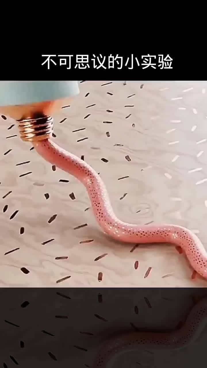 神奇实验室 物理实验 科学实验