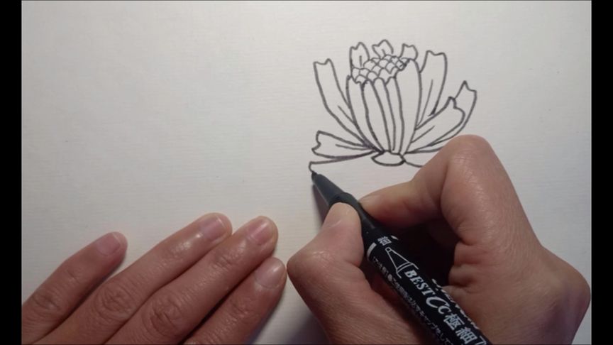 用简笔画画美丽的小菊花,上色简单易学,适合所有小朋友们学习哦