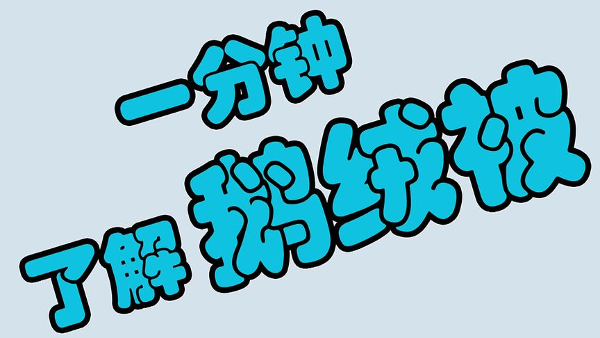 #健康睡眠 被中尚品 #鹅绒被 你了解多少?今天 #她来了她来了