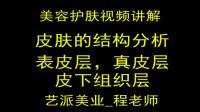 皮肤的结构分析-表皮层-真皮层-皮下组织层