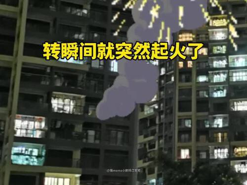 妈妈,我明明会使用消火栓,但是我为什么还是救不了你