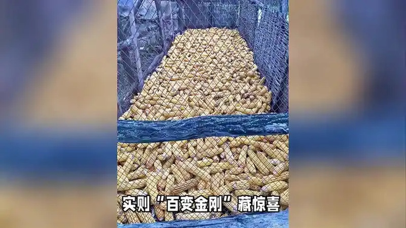玉米芯有什么用途