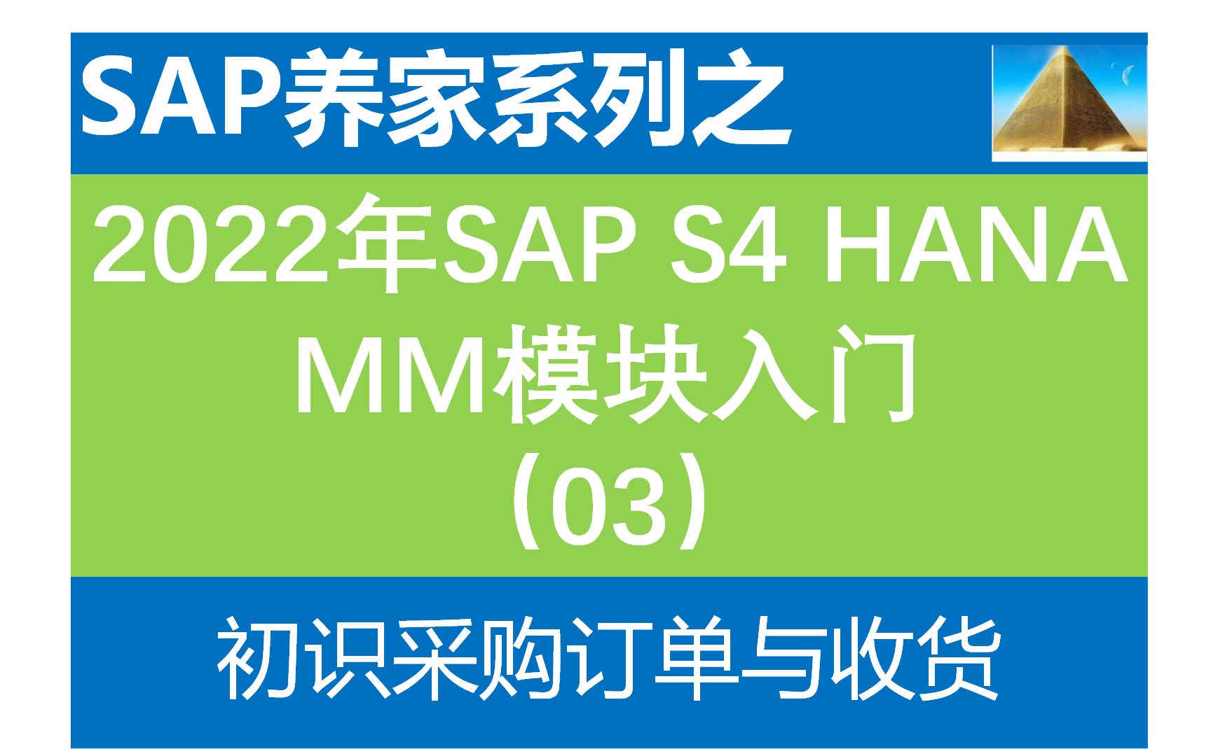 2022年S4 HANA MM入门03初识采购订单与收货 SAP MM模块