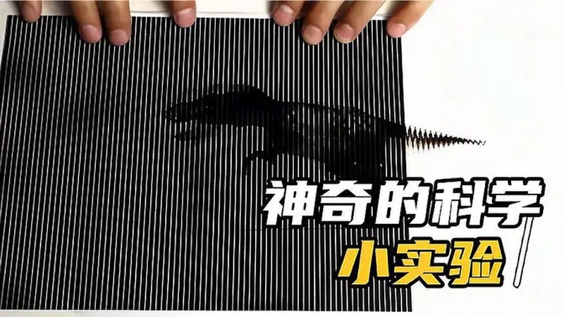 简单的科学小实验,激发孩子的科学梦