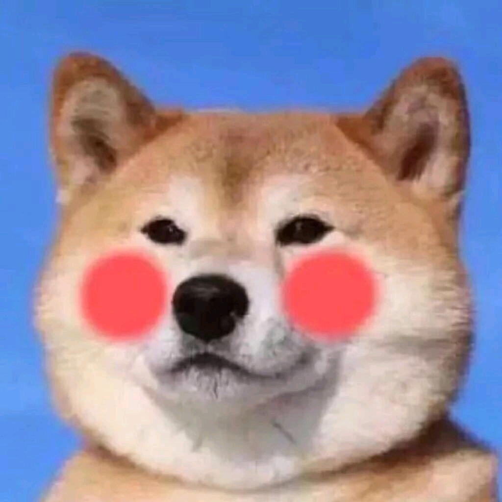 柴犬哒哒哒 