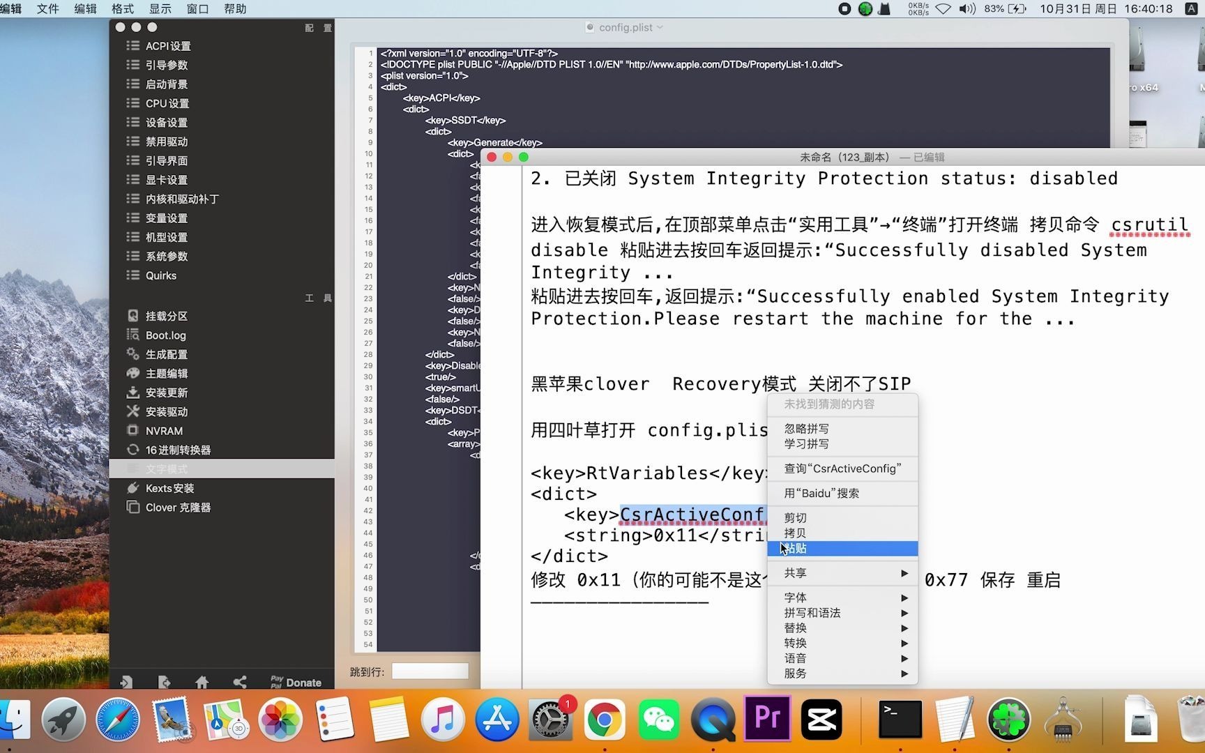 黑苹果(Clover引导)关闭SIP“系统完整性保护”