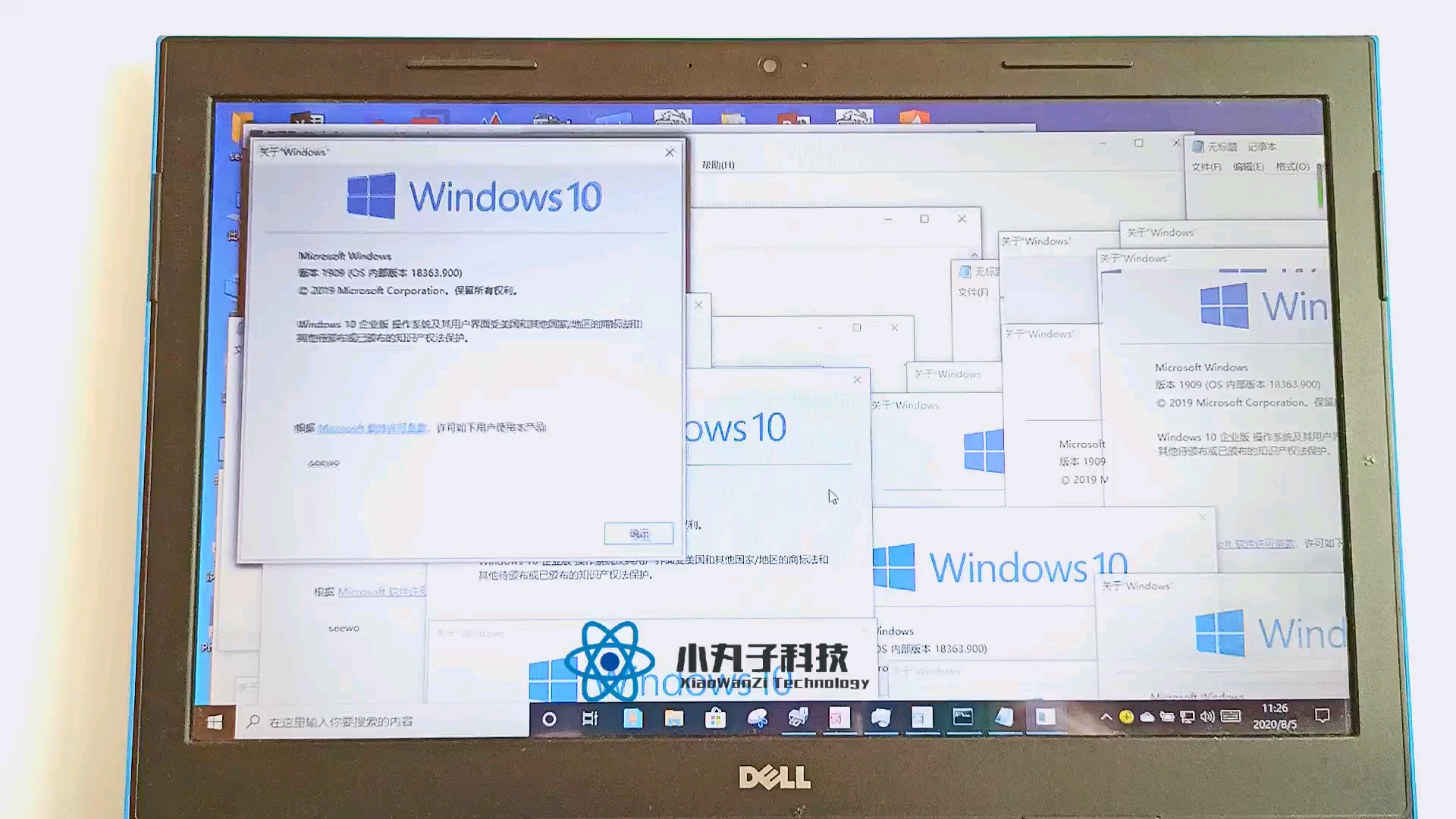 实体机测试迷你小丸子病毒,易语言编写