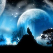 残夜不失 